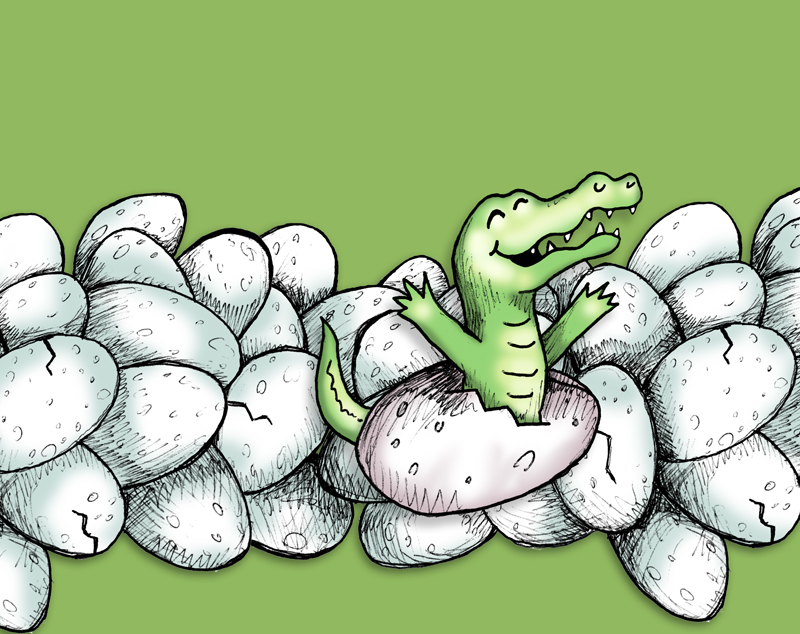 Ever Open (Chapter Book) – Bonnie Kelso