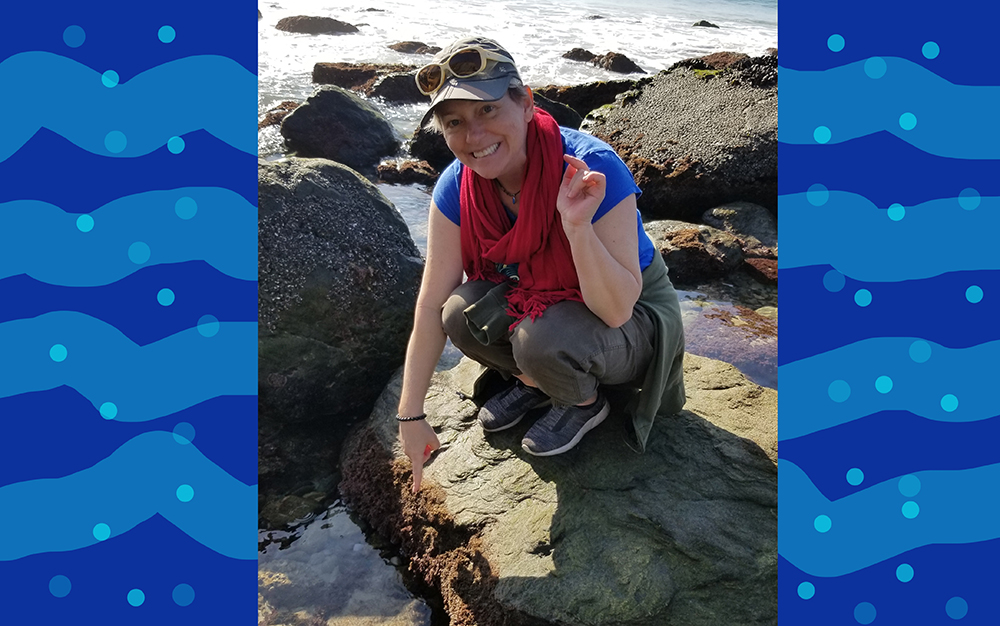 NUDI GILL PIN-UP: California Sea Hare – Bonnie Kelso