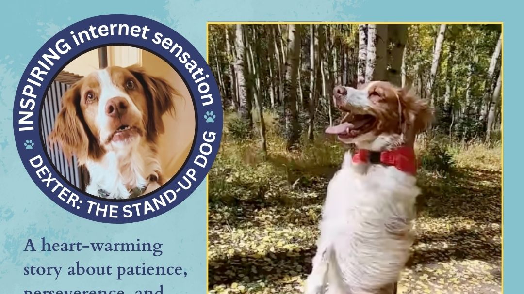 Dexter, The Stand-Up Dog! – Bonnie Kelso